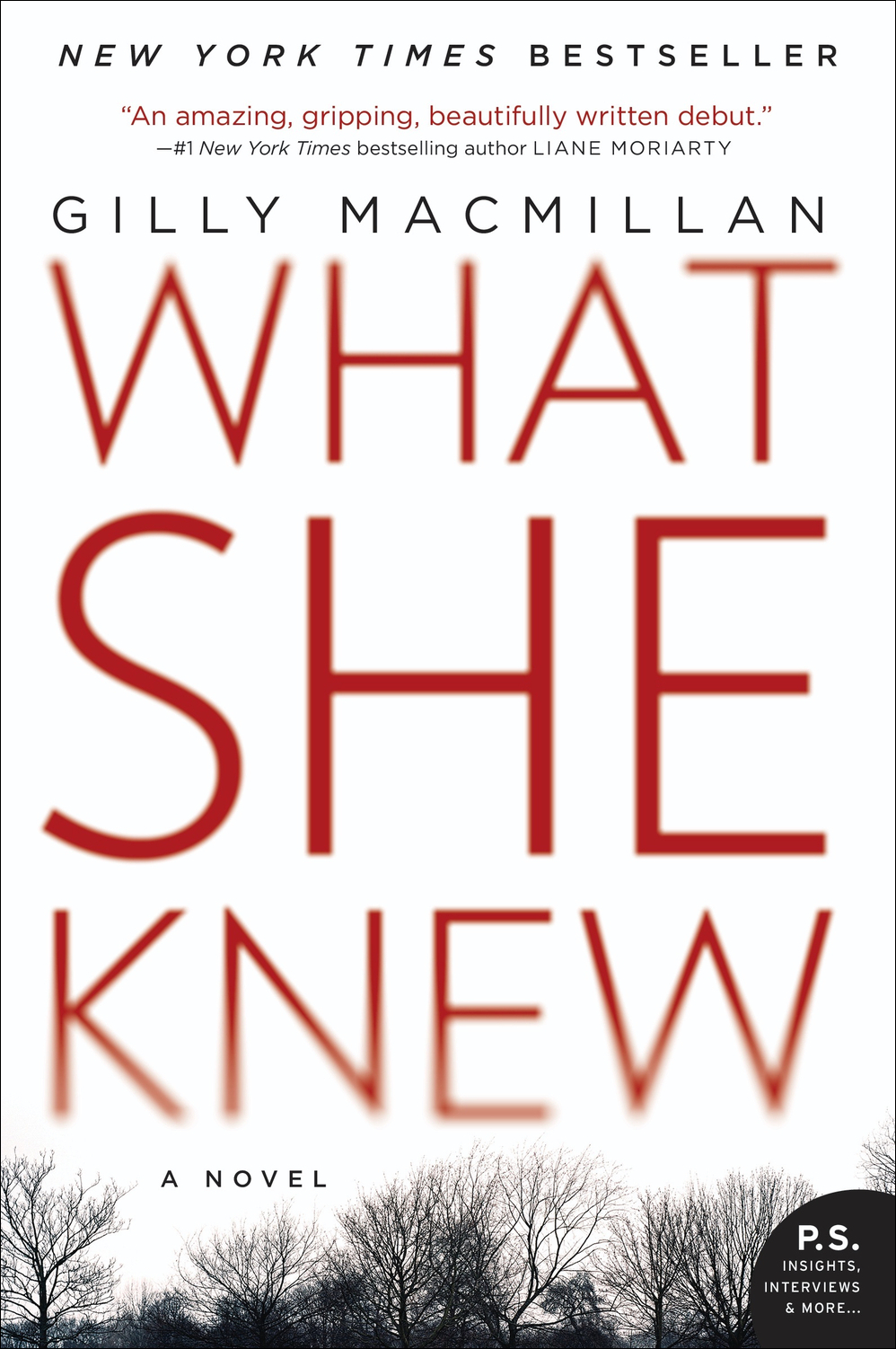 WHAT SHE KNEW | Gilly Macmillan